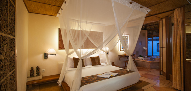 Eco-Luxury Bali Honeymoon | Elevate Destinations