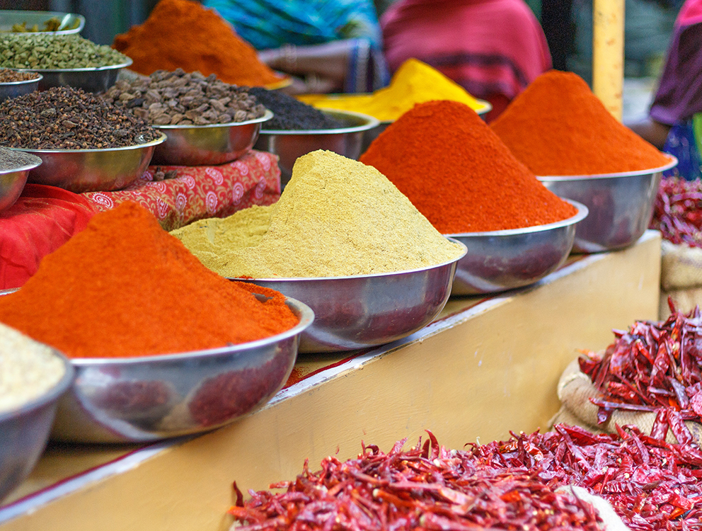 India: Ancient Traditions Legacy Tour