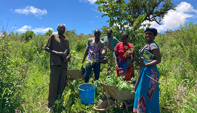Eco-Luxury Malawi Culture & Conservation Safari | Elevate
