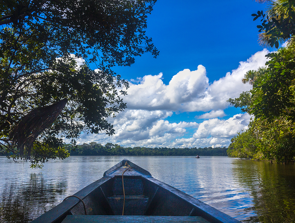 Peru: Amazon to Andes Volunteer Journey - Elevate Destinations